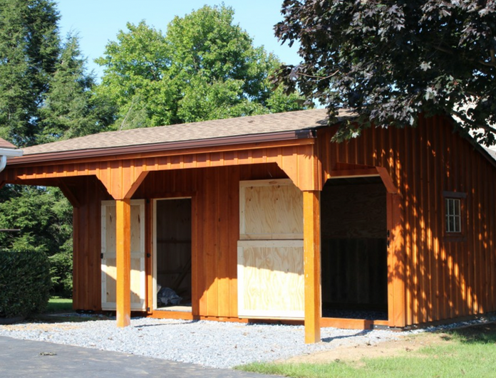 Horse Run Ins | My Site