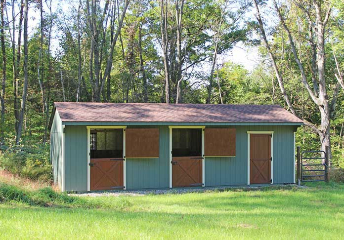 Horse Run Ins | My Site