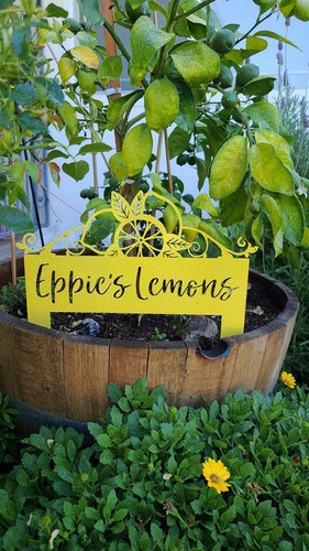 Custom Lemon Stand Sign, Metal Lemon Tree Marker | Langley Metal Works