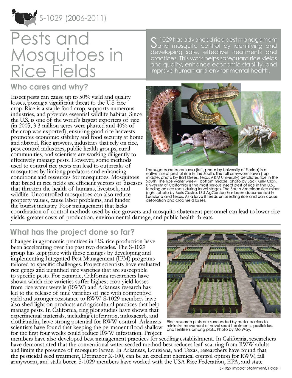 Pests & Mosquitoes in Rice Fields