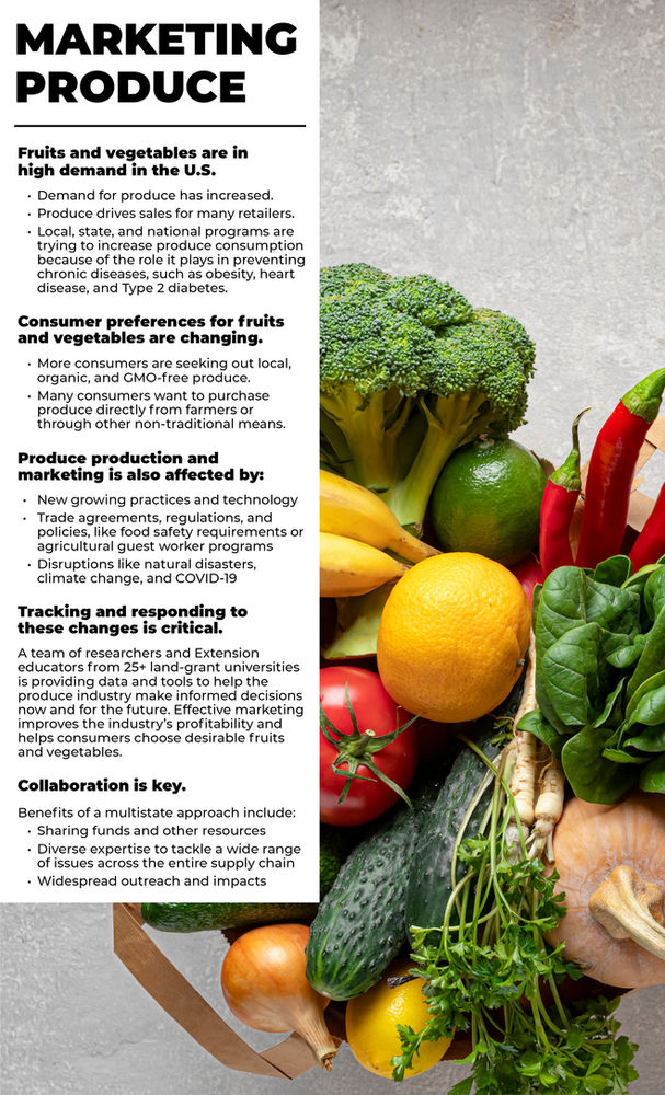 Marketing Produce (S-1067 | 2015-2020)