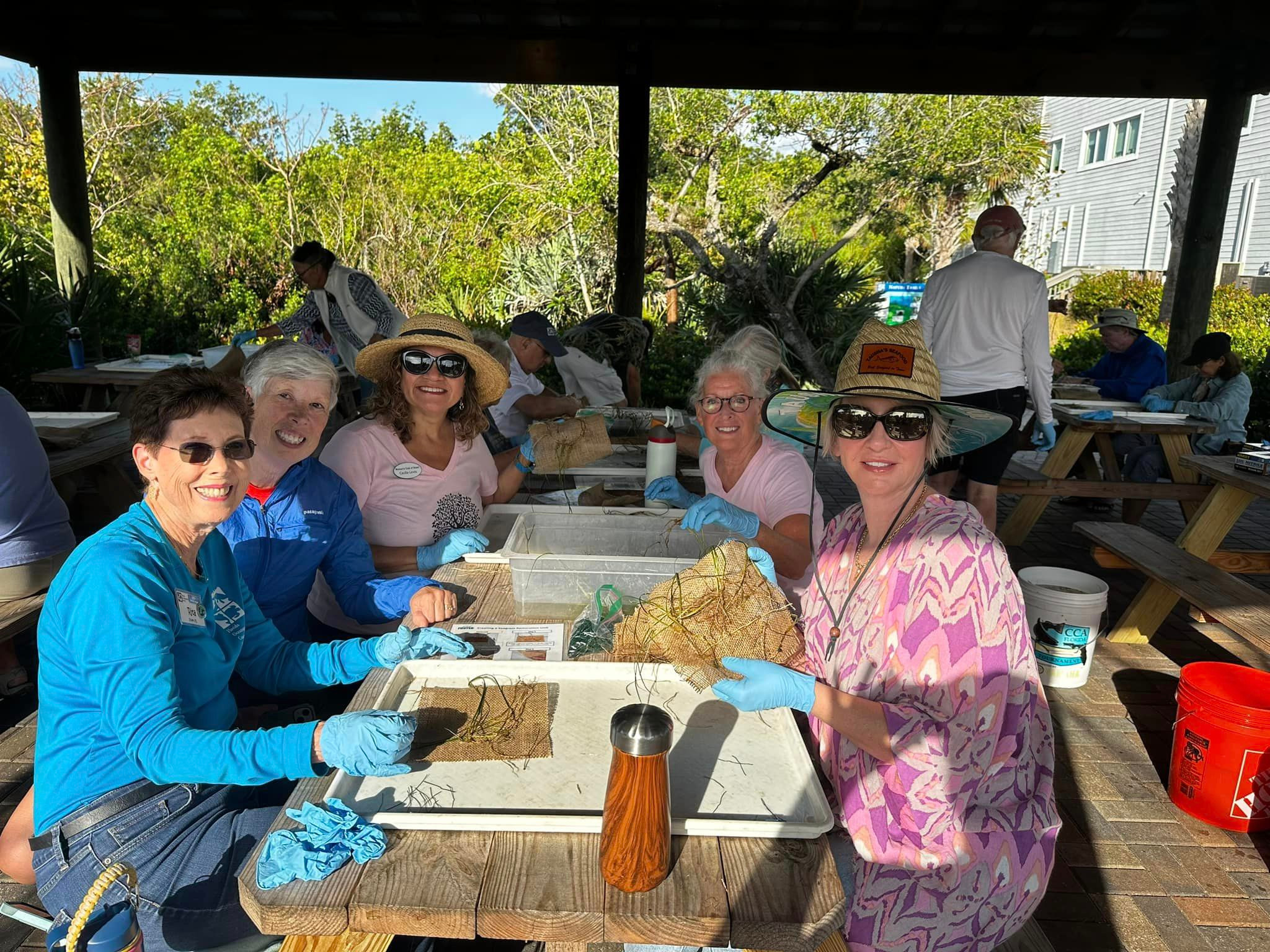 Potting Red Mangroves | Wcofstuart