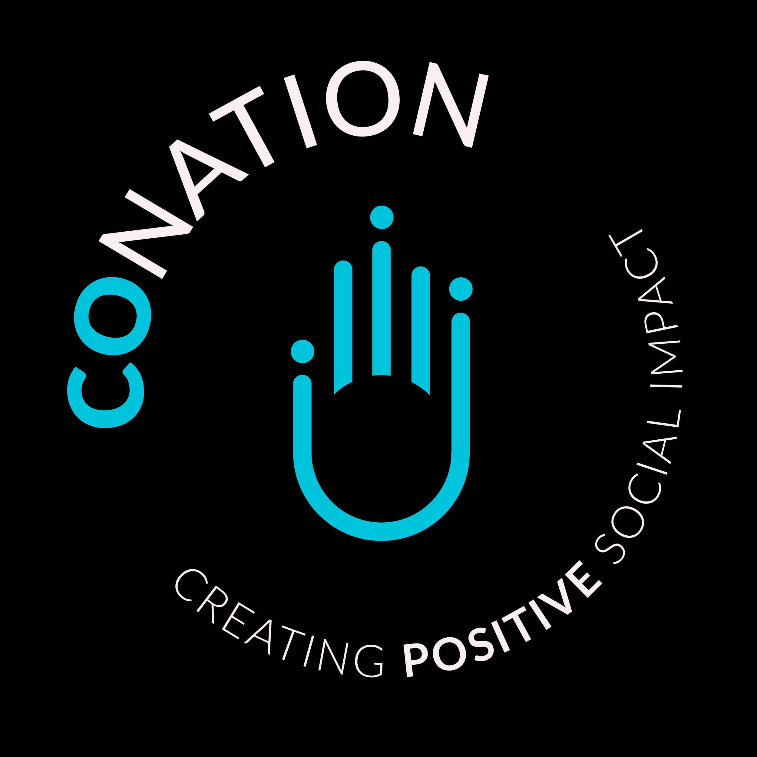 Chicago nonprofits | Conation Community