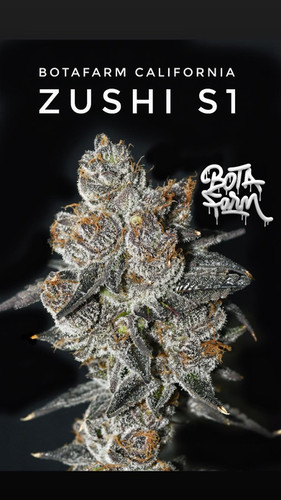 Zushi S1 .FEM | Botafarm