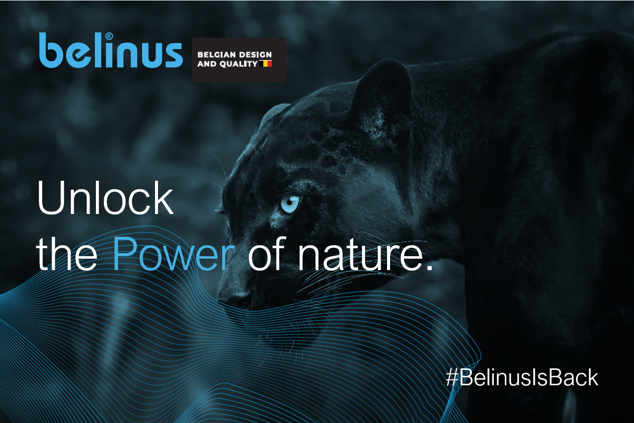 Belinus Energy Solutions | solar panels and energy storage