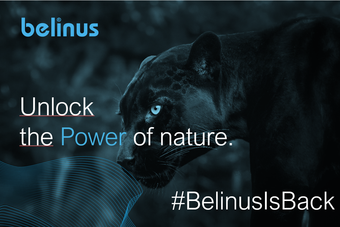 ABOUT (EN) | belinus