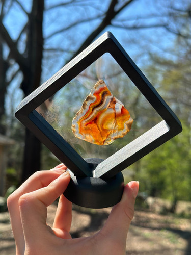 Fiery Laguna agate slice in display case 1970s | Fadedwildflowers