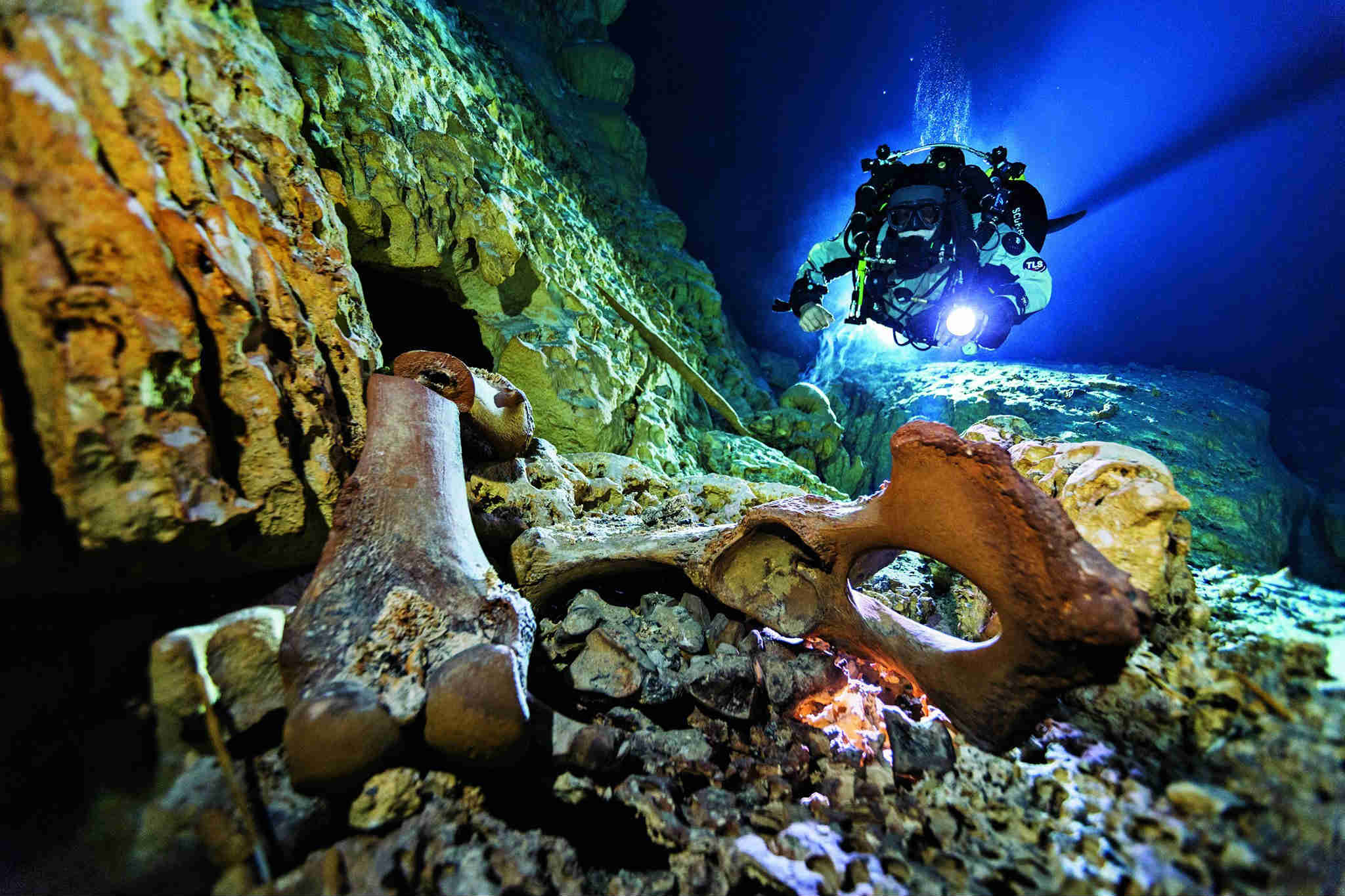 Acuatic Tulum - Diving Excursions & Courses in Mexico's Caribbean
