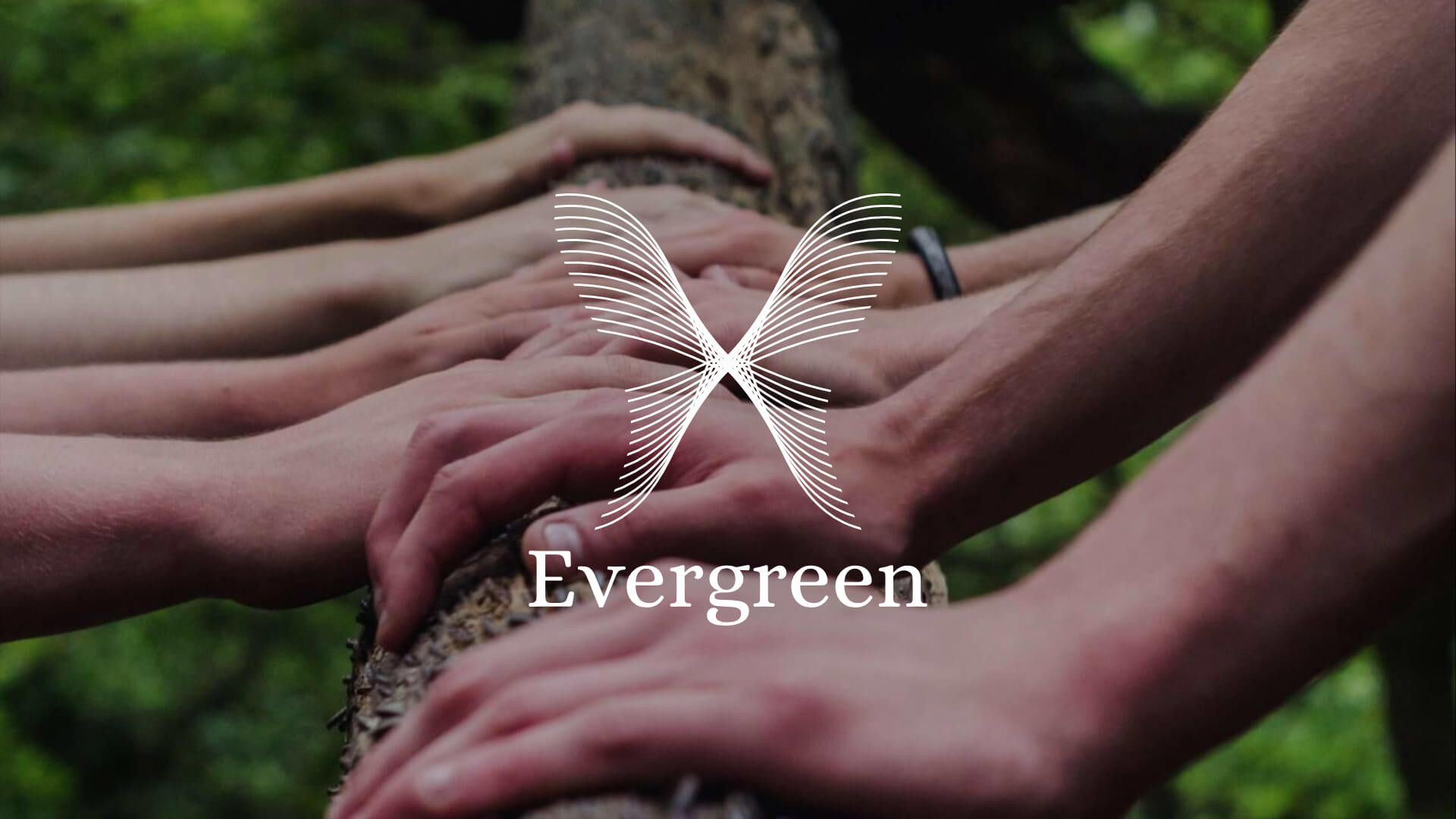 Contact | Evergreen House Foundation