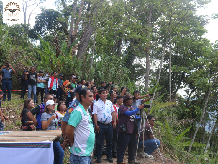 Helping hands meant freedom for endangered Kabugao Eagle