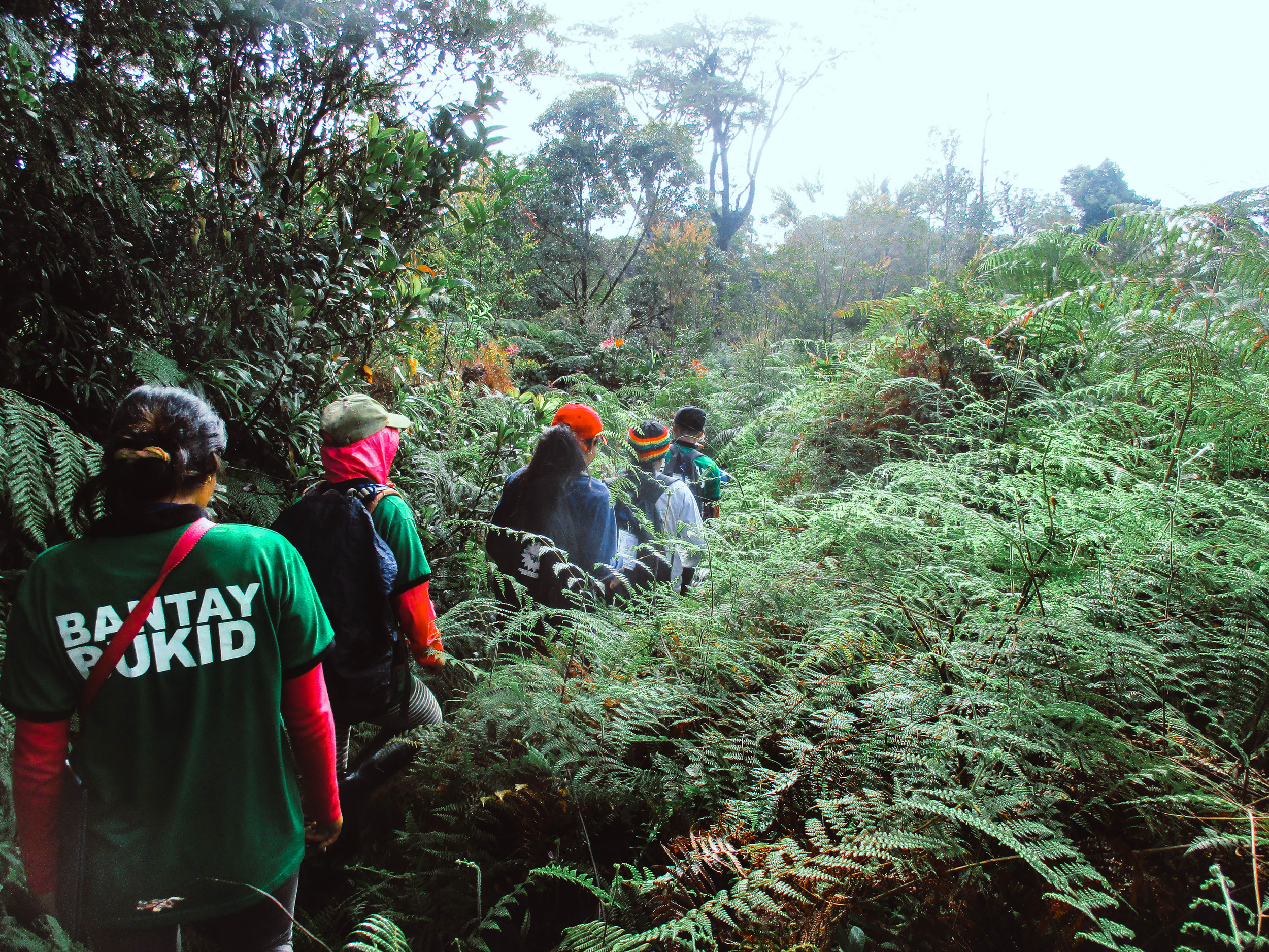 Forest Guard Program | PEF