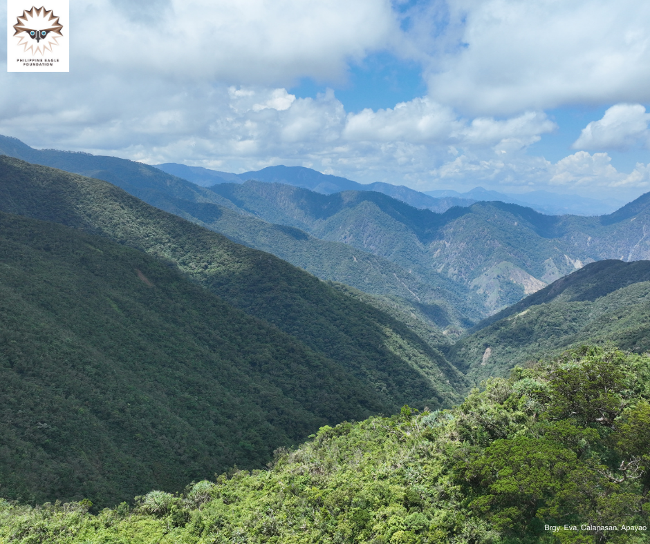 Isnag and eagle stronghold Apayao inscribed as new UNESCO Biosphere Reserve