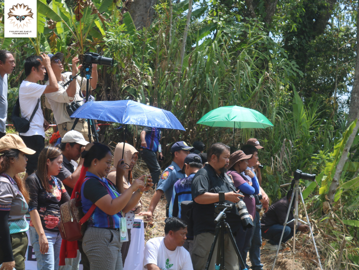 Helping hands meant freedom for endangered Kabugao Eagle