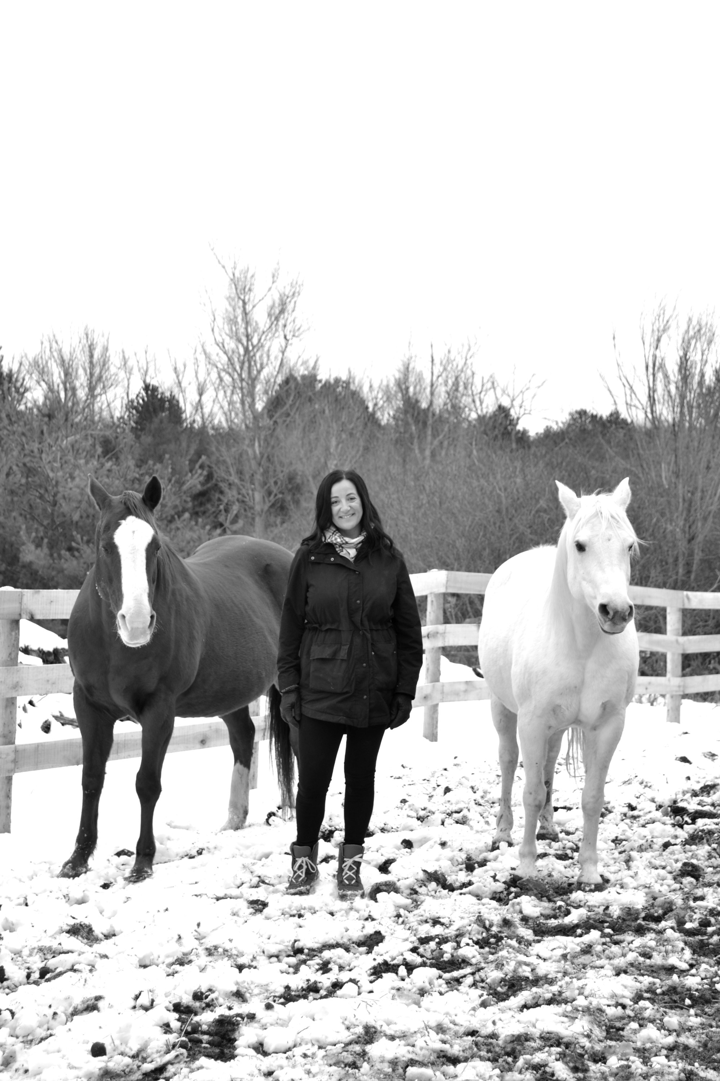 For Equine Professionals | Awaken With Horses