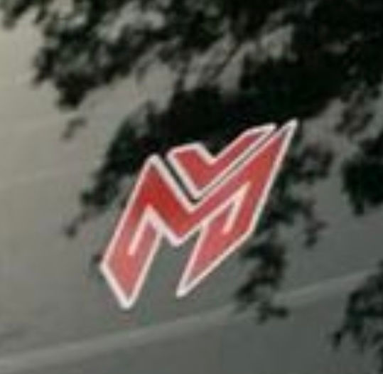 Two tone logo decal