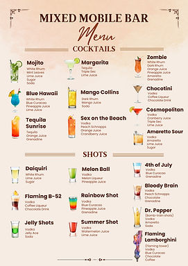 Mixed Mobile Bar - Unlimited packages