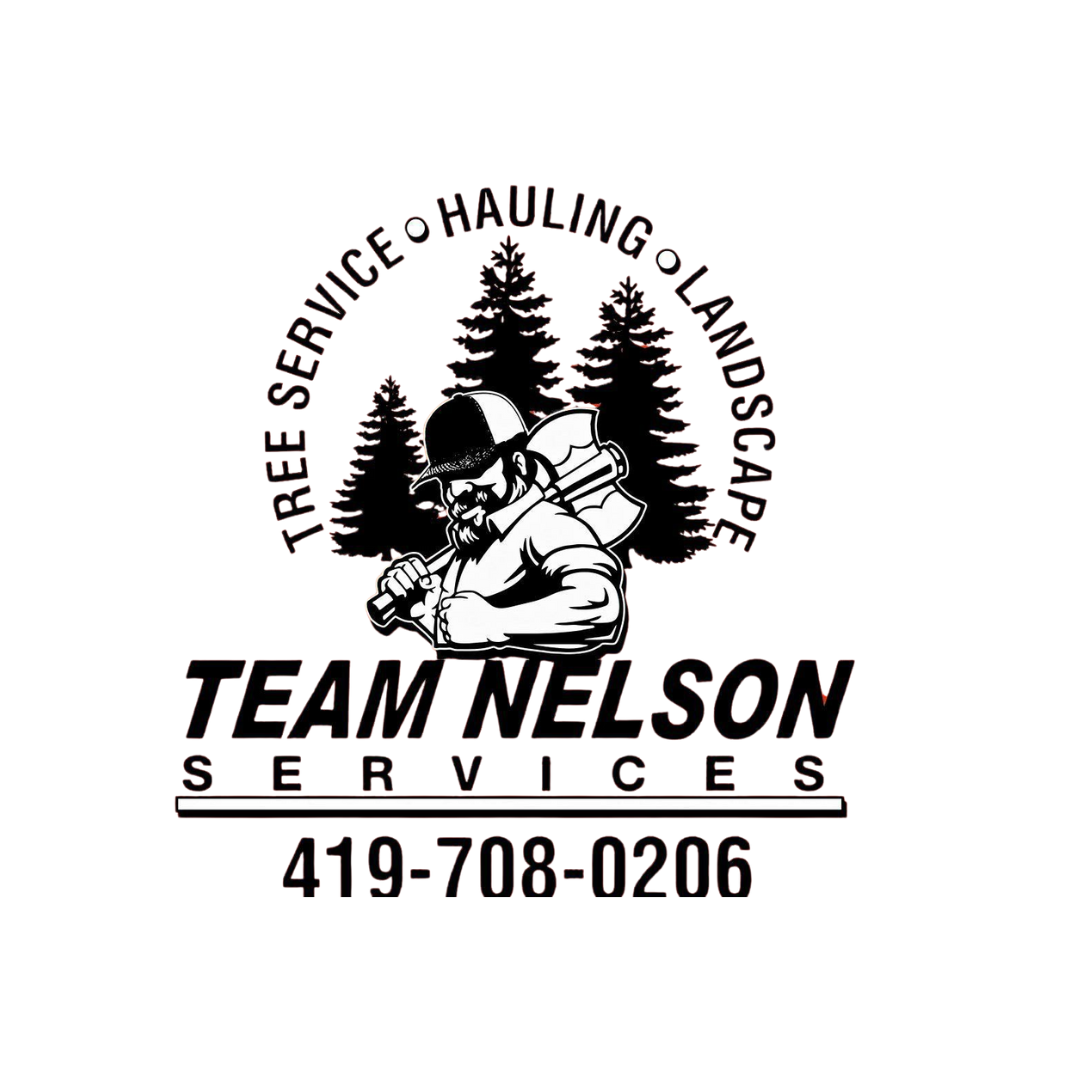 Tree Service, Hauling & Landscape | Team Nelson Services