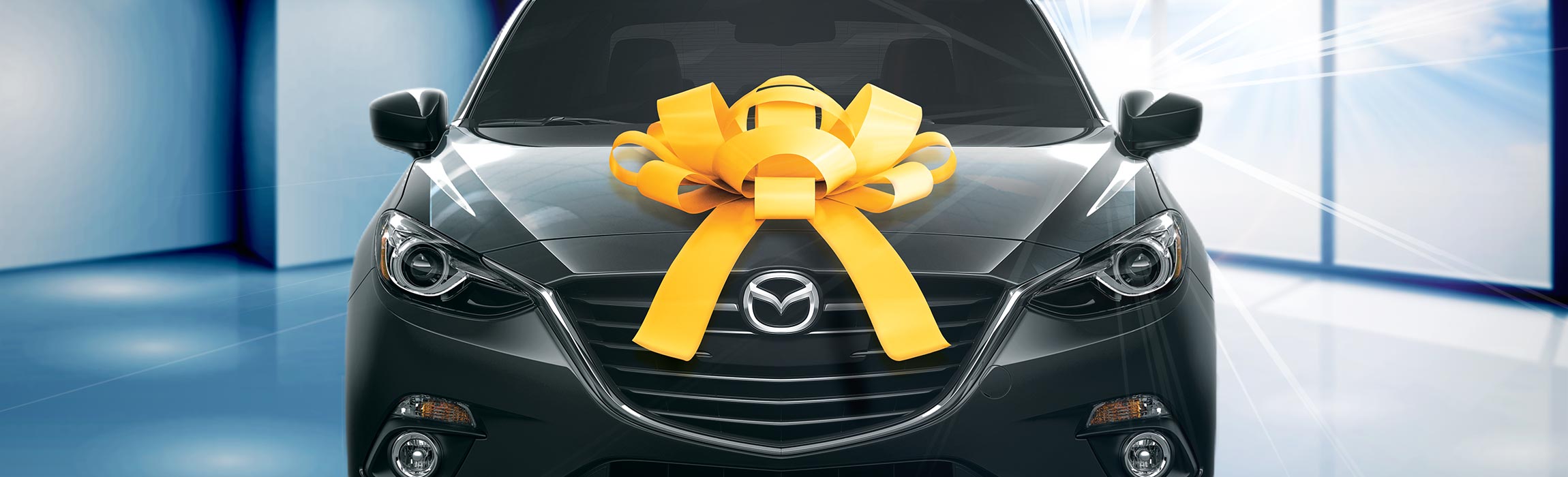 E-Z Line The Greatest Name in Auto Dealer Products