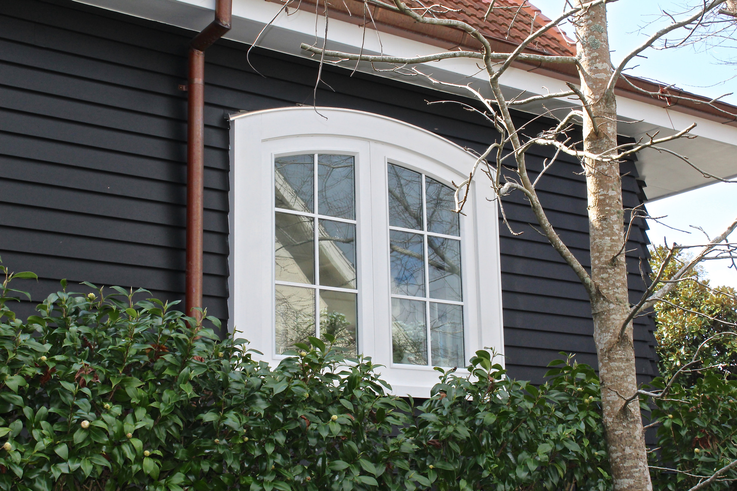 Timber Fire Rated Windows | McNaughton Windows & Doors