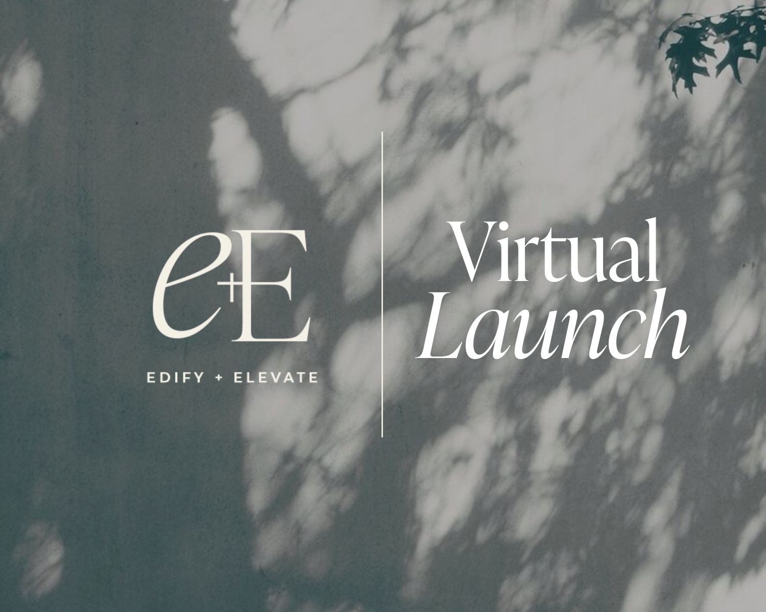 edify + ELEVATE: Virtual Launch | edify + ELEVATE