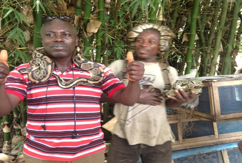 Snake Village (liate-soba) - volta region