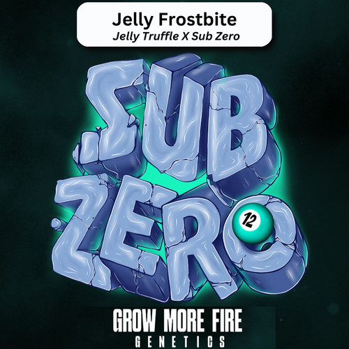 Jelly Frostbite (Jelly Truffle X Sub Zero) | Grow More Fire