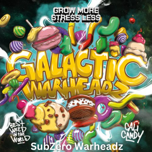 SubZero Warheadz (Sub Zero #10 X Galactic Warheadz) 12 Fem Seeds | Grow More Fire