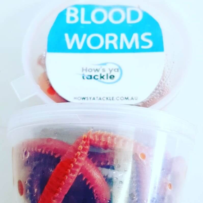Blood Worms / Red UV Worms | Hows Ya Tackle