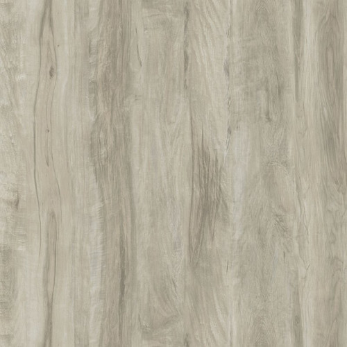 7672-FXNG-Pale Maple | Lucien Proulx & Fils