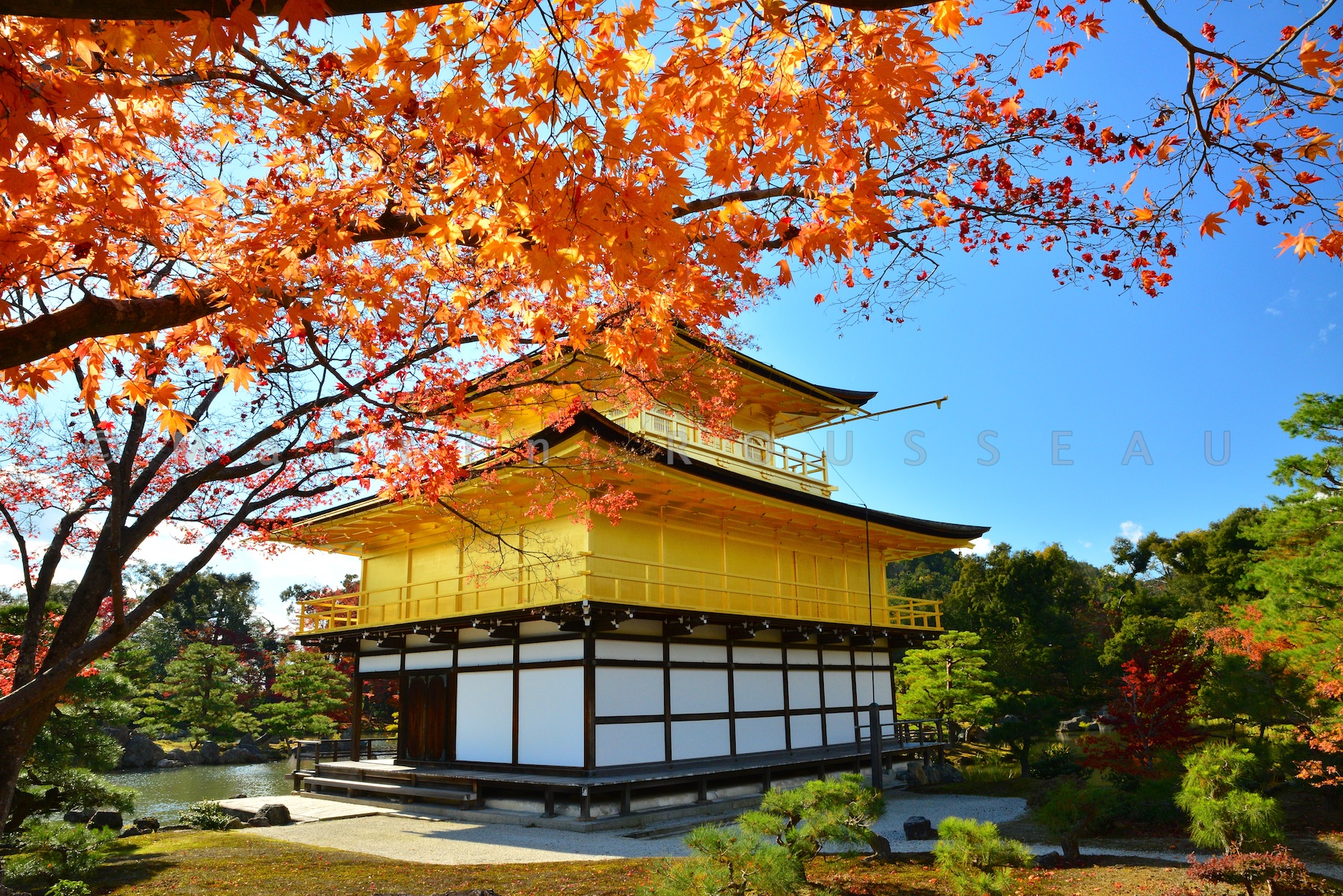 Kyoto in 50 pictures | visit-kyoto
