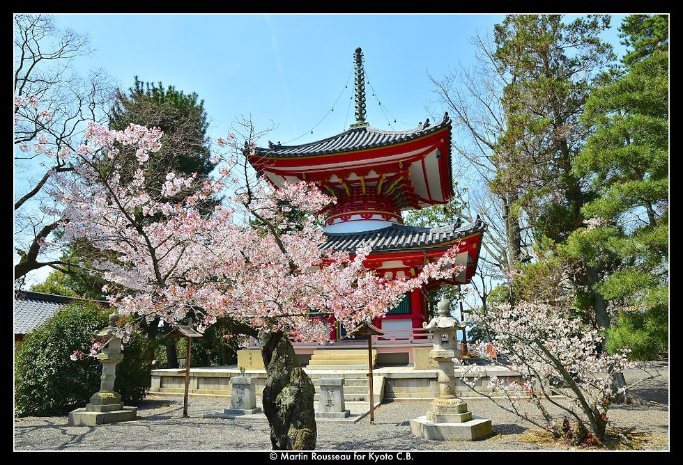 Central Kyoto | visit-kyoto