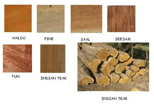 Different Type of Wood used for Furniture