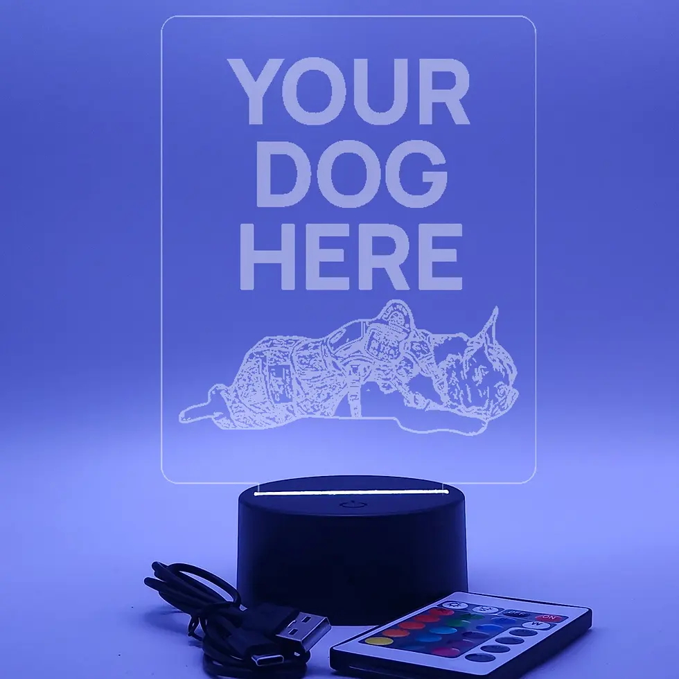 Custom Signs | Fandom Laser