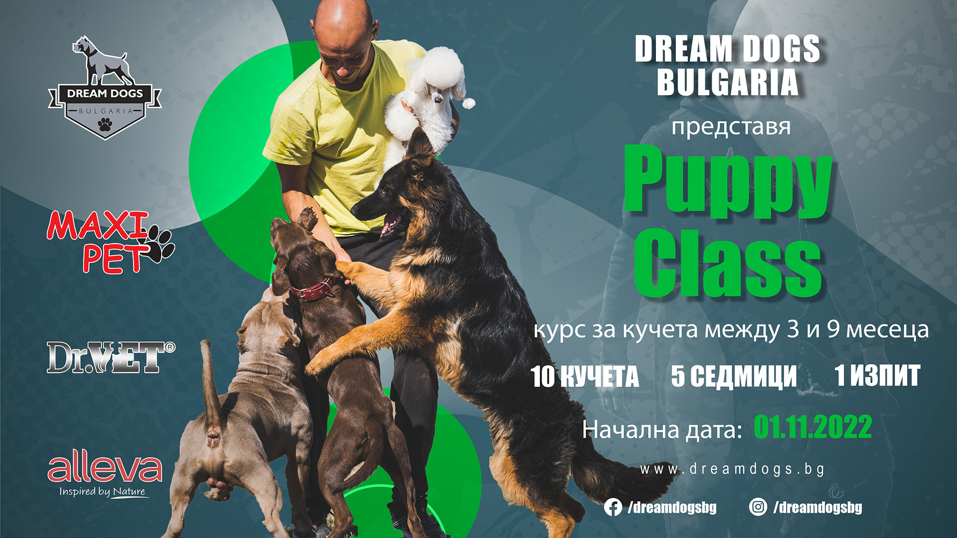 Puppy Class | Dream Dogs BG