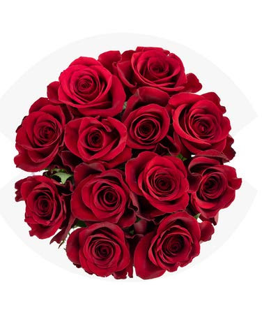 Roses | Crazy Fresh