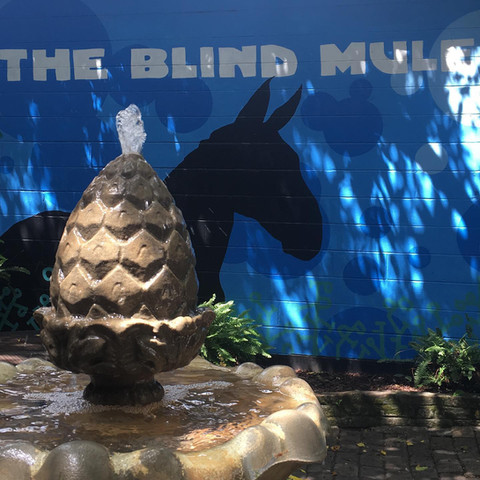 The Blind Mule Restaurant | casual southern | 57 N Claiborne St, Mobile ...