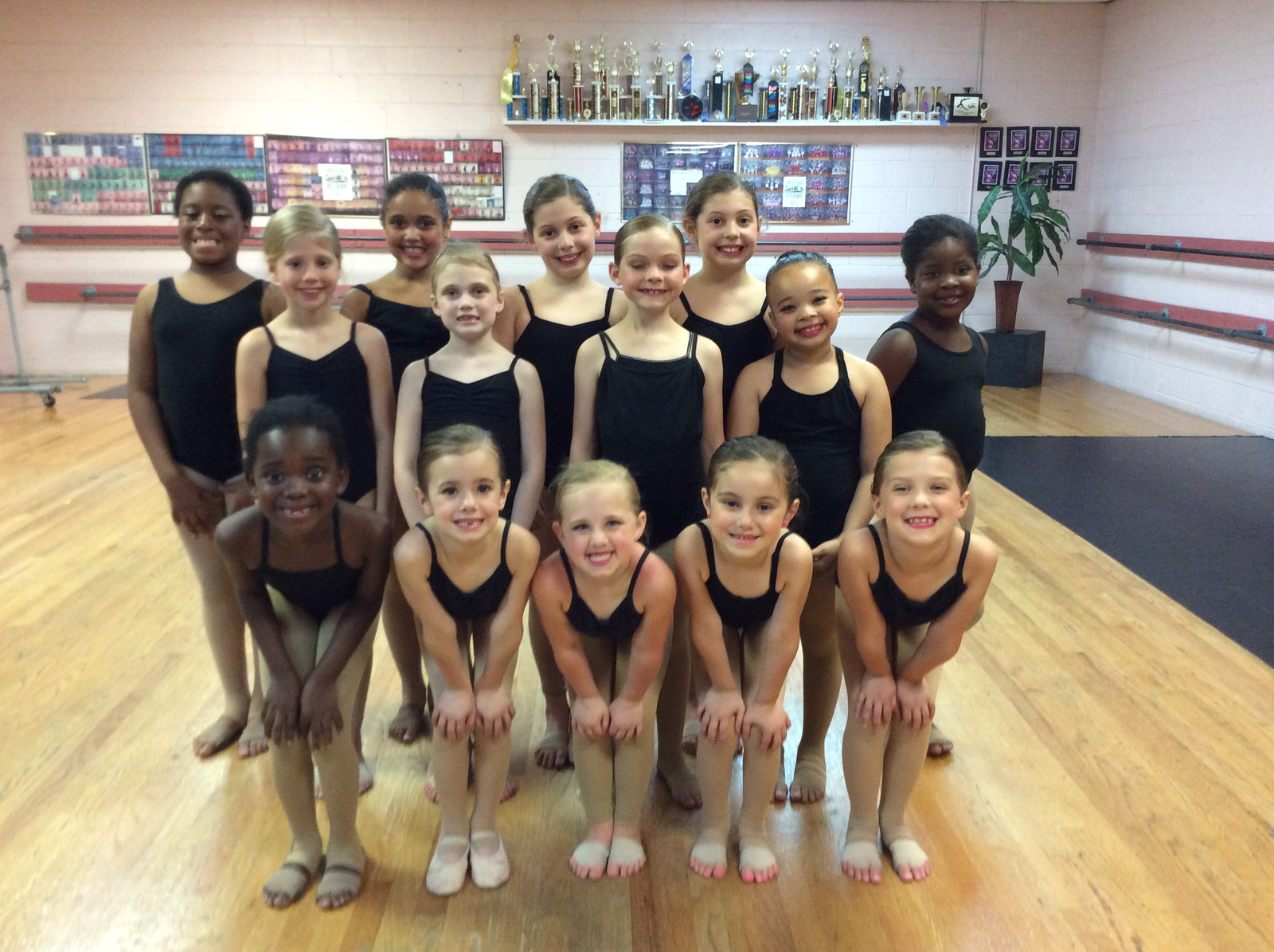 The Academy of Dance and Gymnastics