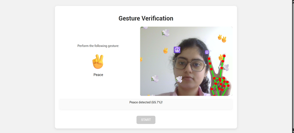 Wave to Prove You’re Human: A Gesture-Based Authentication System