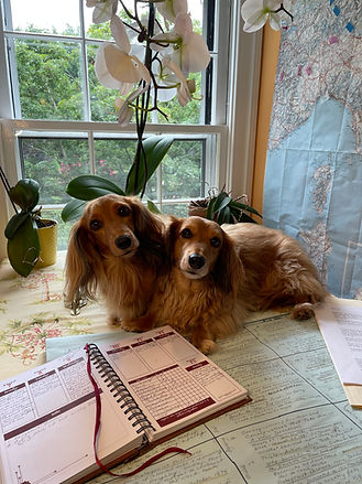 About | Dorothea Dickerman