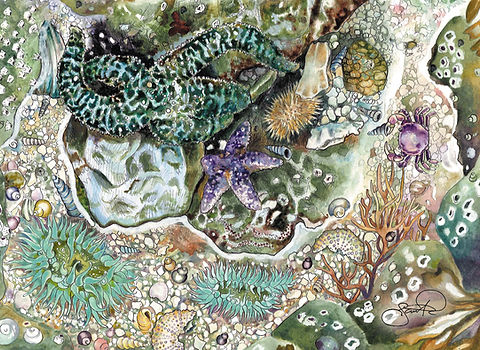 coloring pages tidepool