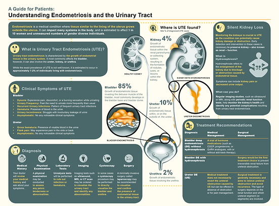 Kidney infographic