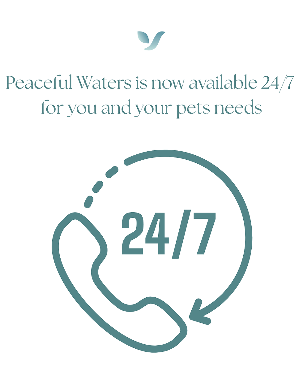 Peaceful Waters Aquamation Is Now Open 24 Hours a Day, 7 Days a Week