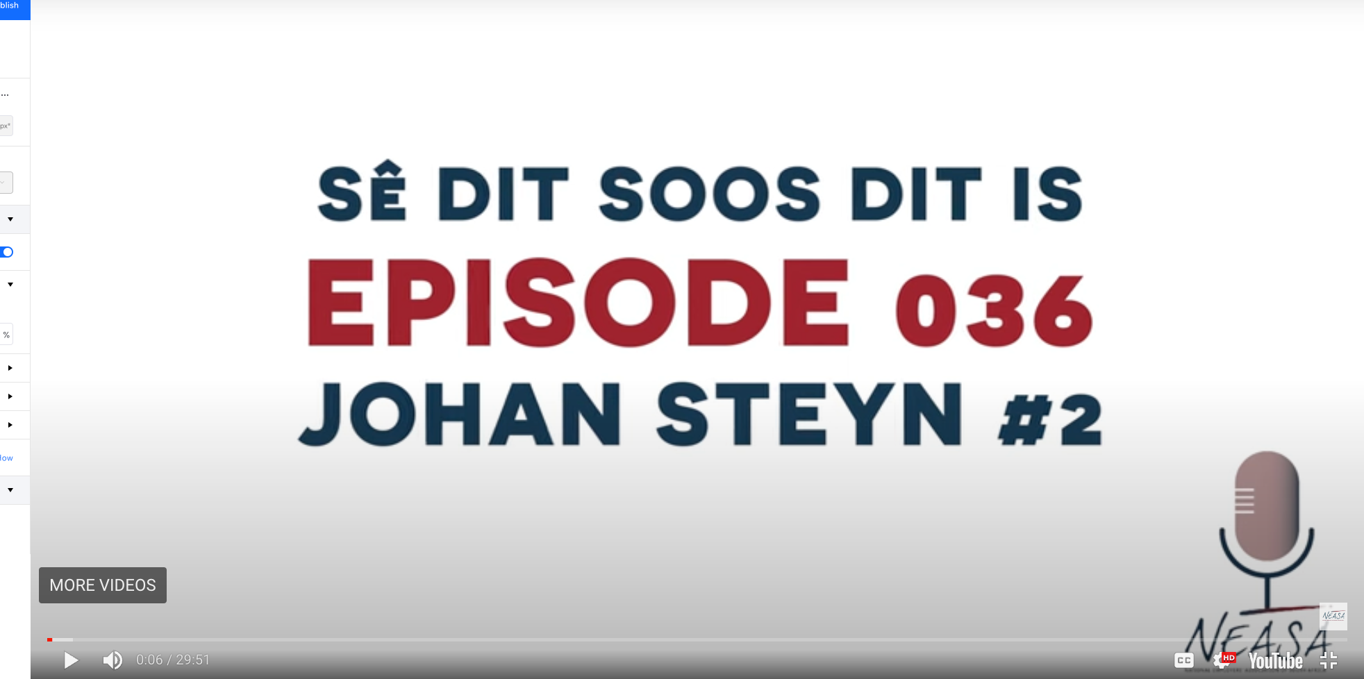 Sê dit soos dit is. Episode 036: Johan Steyn #2