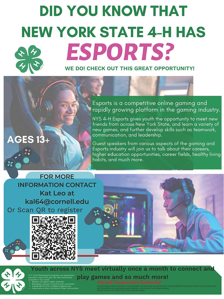 NY ESports Club Resumes Meetings