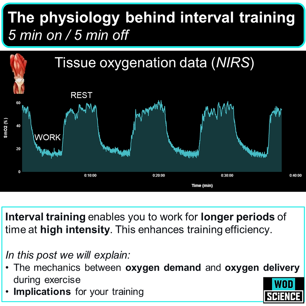 The physiology behind interval training: 5 min on / 5 min off
