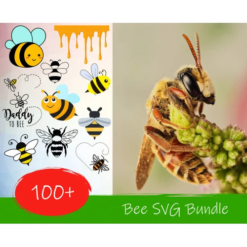 100+ Bee SVG Bundle | CRAFTYSVG.SHOP