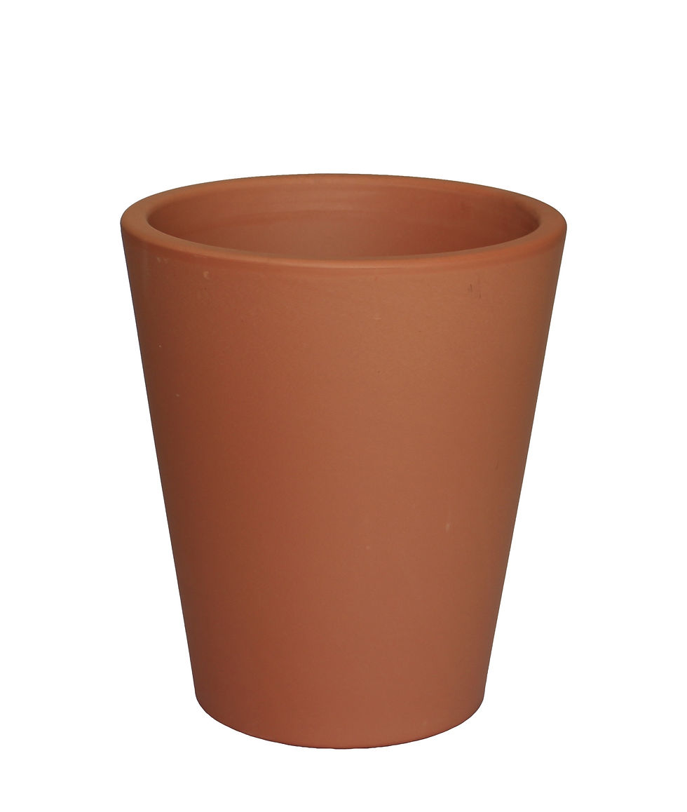 Smooth Conic Planter/Pot | Ceramica Casa Vera