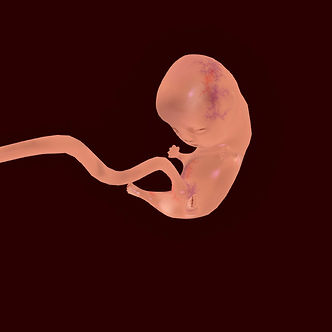 Conception & Pregnancy | Really Needy HUD