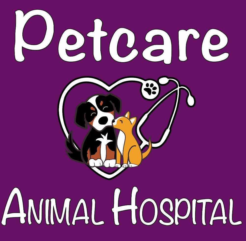 Contact Us | Petcare Animal Hospital | Terre Haute
