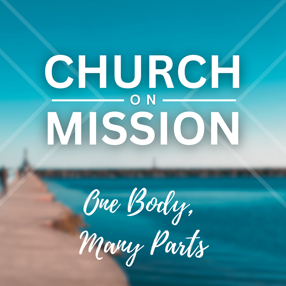 Devotional: One Body, Many Parts